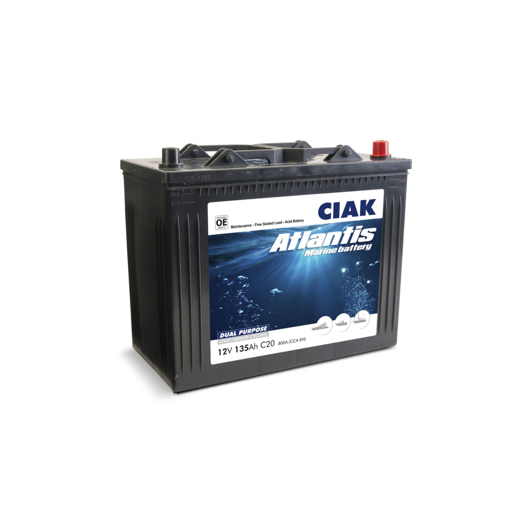 AKUMULATOR CIAK ATLANTIS 12V- 135AH MARINE BATTERY START/SERVICE MF ...